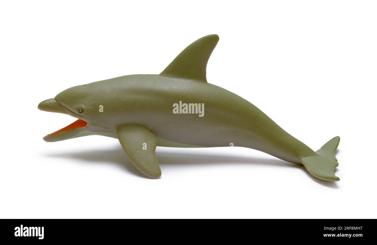 Plastic Dolphin Toy Cut Out on White Stock Photo - Alamy