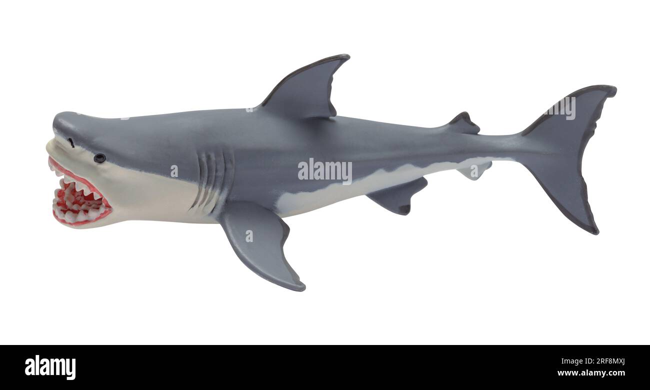 Shark Cut Out Stock Images & Pictures - Alamy