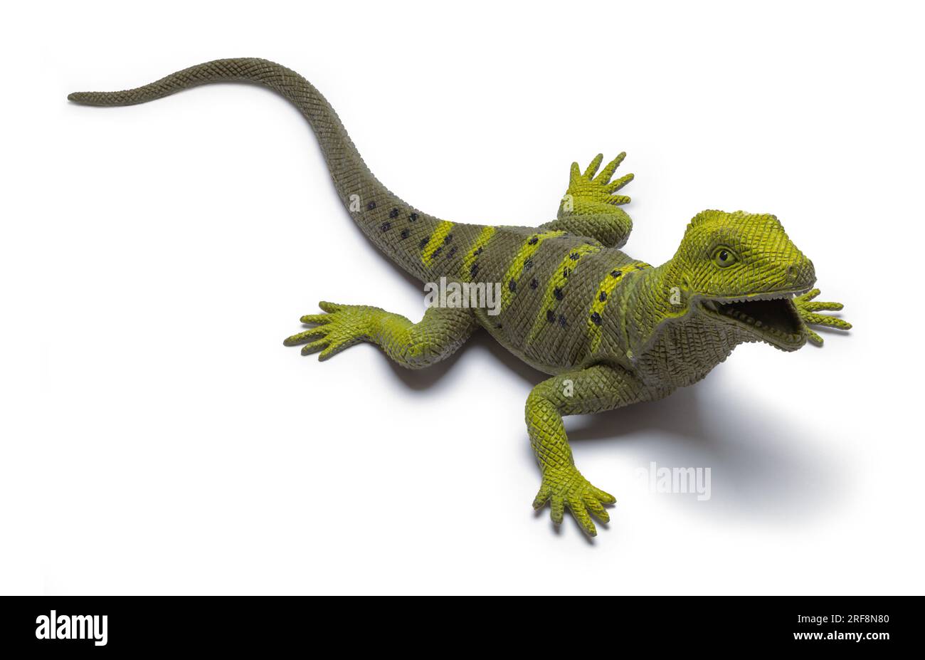 Toy lizard hi-res stock photography and images - Alamy