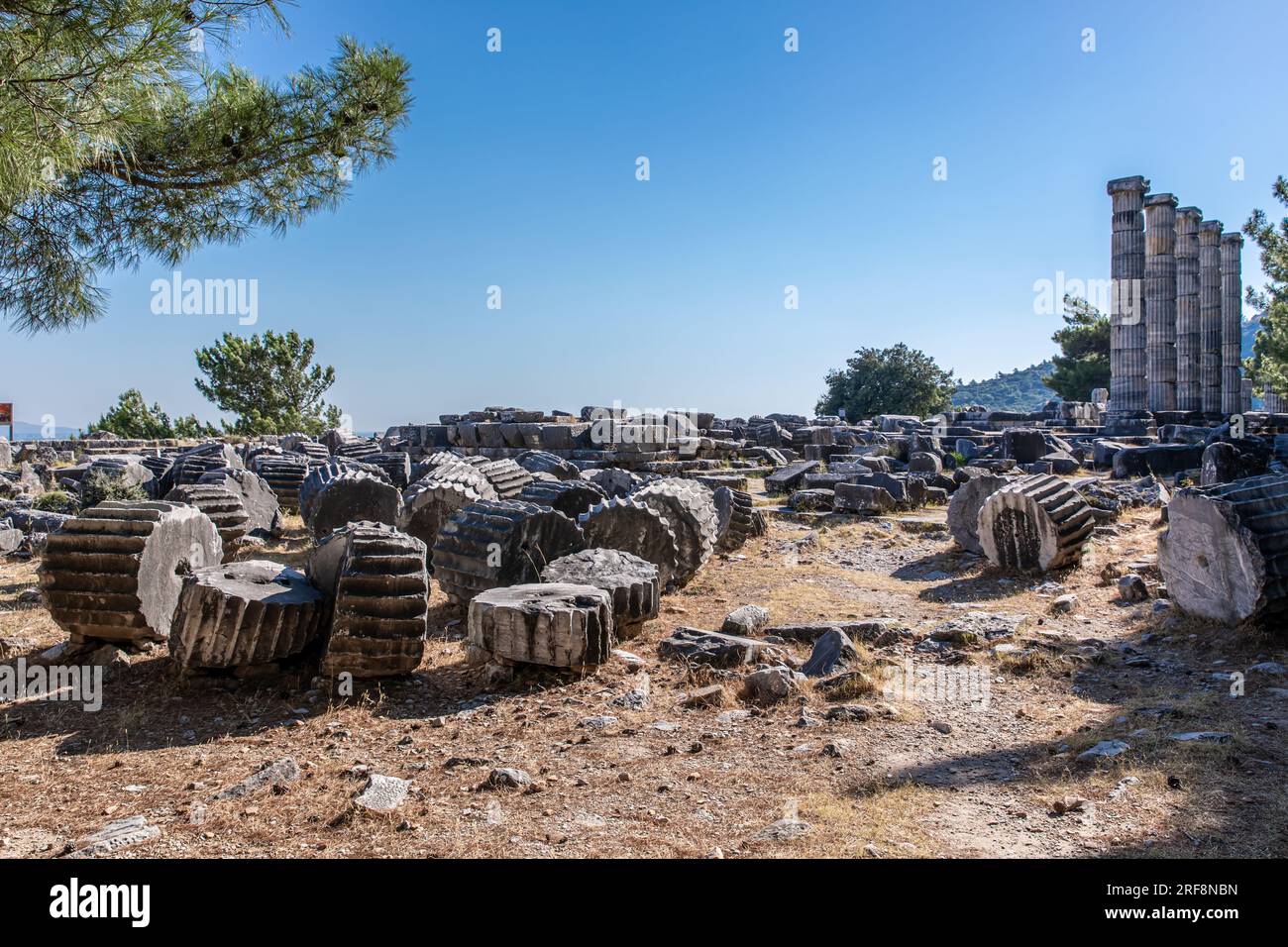 Ruins of the ancient city of Priene, Ionic columns of the Temple of ...