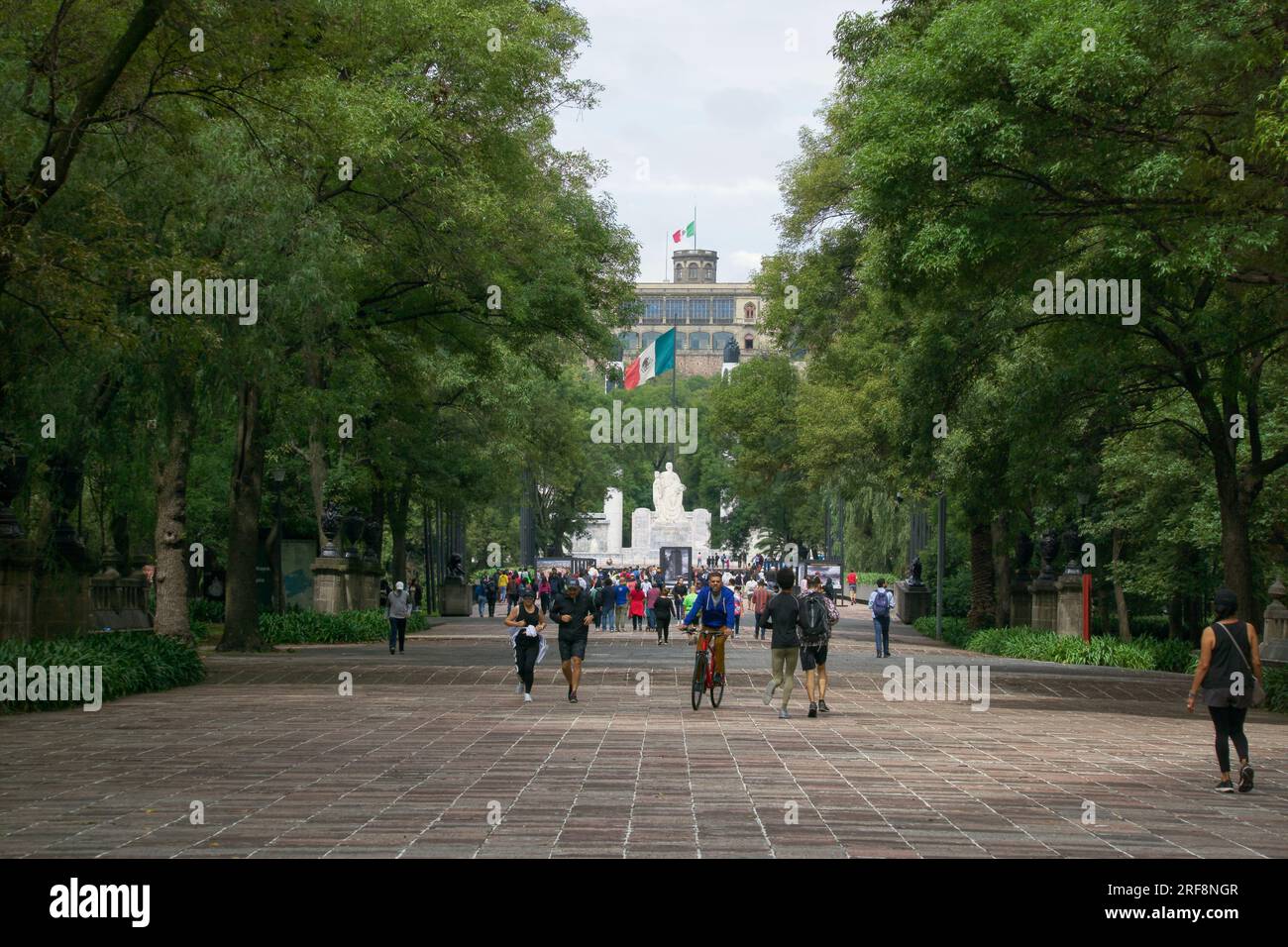 Chapultepec park bike hi-res stock photography and images - Alamy