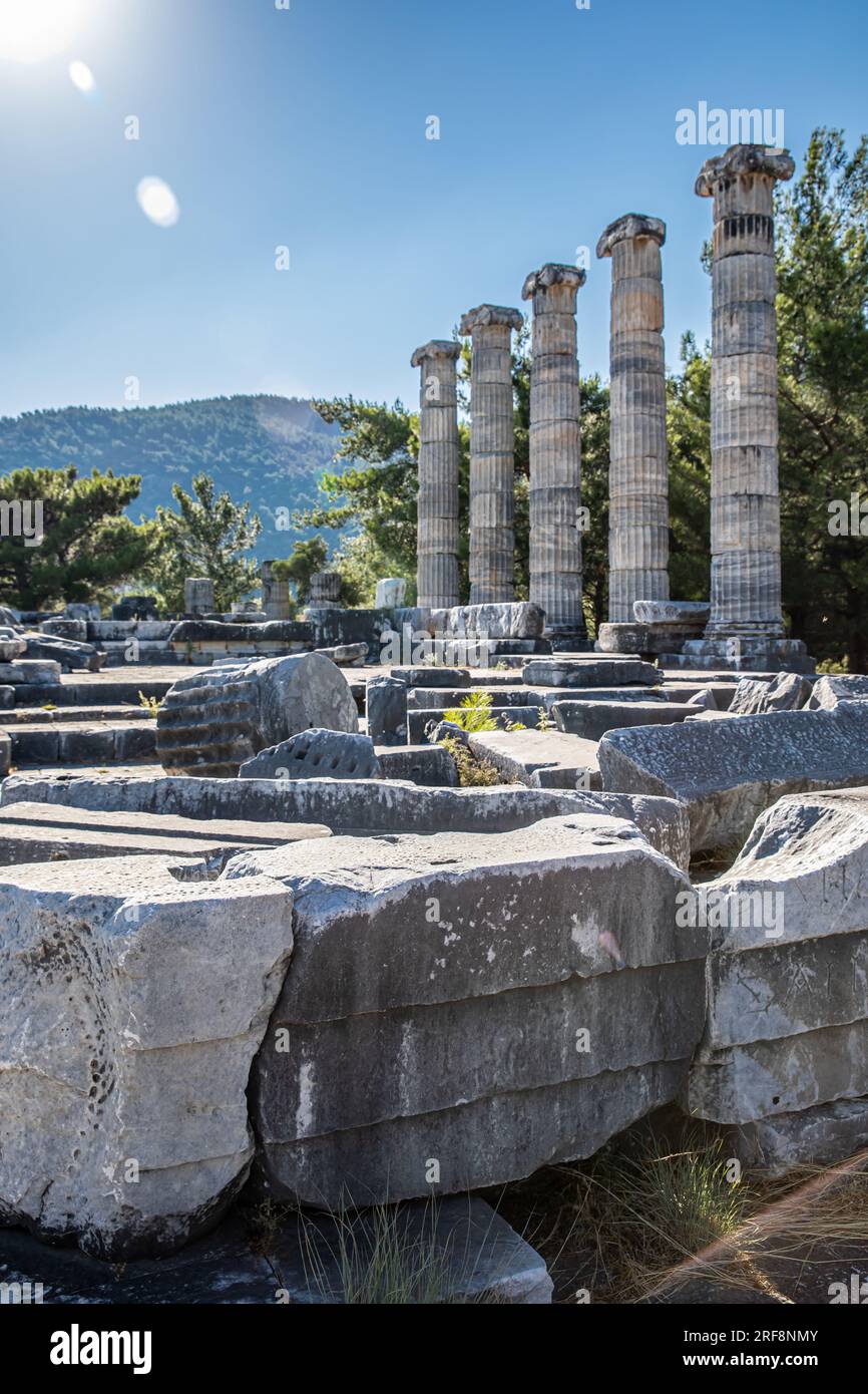 Ruins of the ancient city of Priene, Ionic columns of the Temple of ...