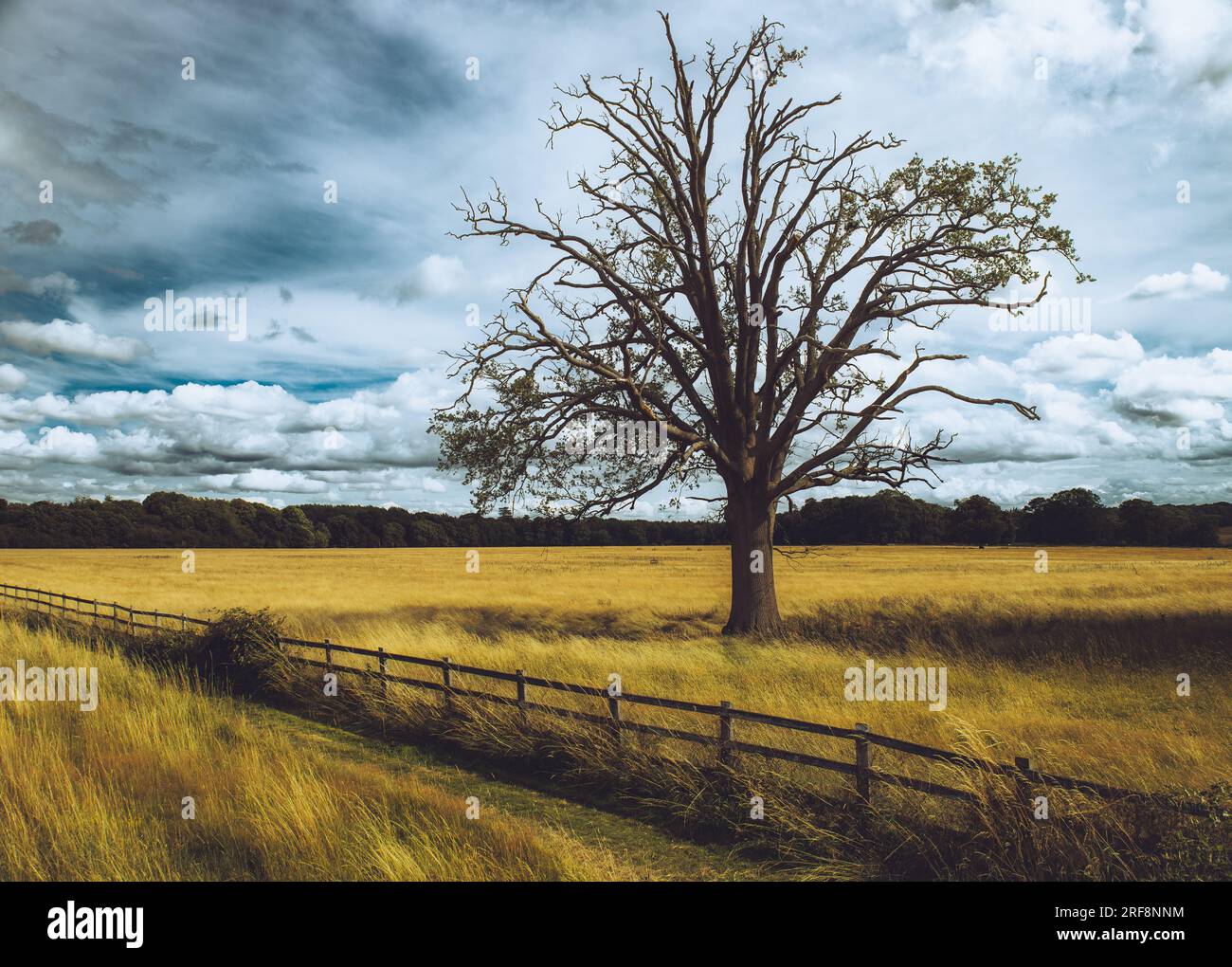 Suffolk farming landscape scenery hi-res stock photography and images ...