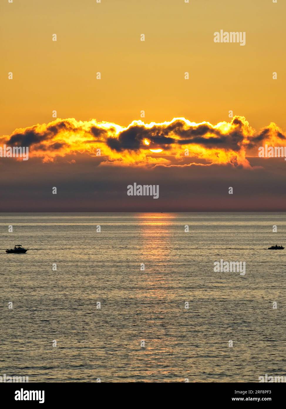 Buffalo in lakeshore summer hi-res stock photography and images - Alamy