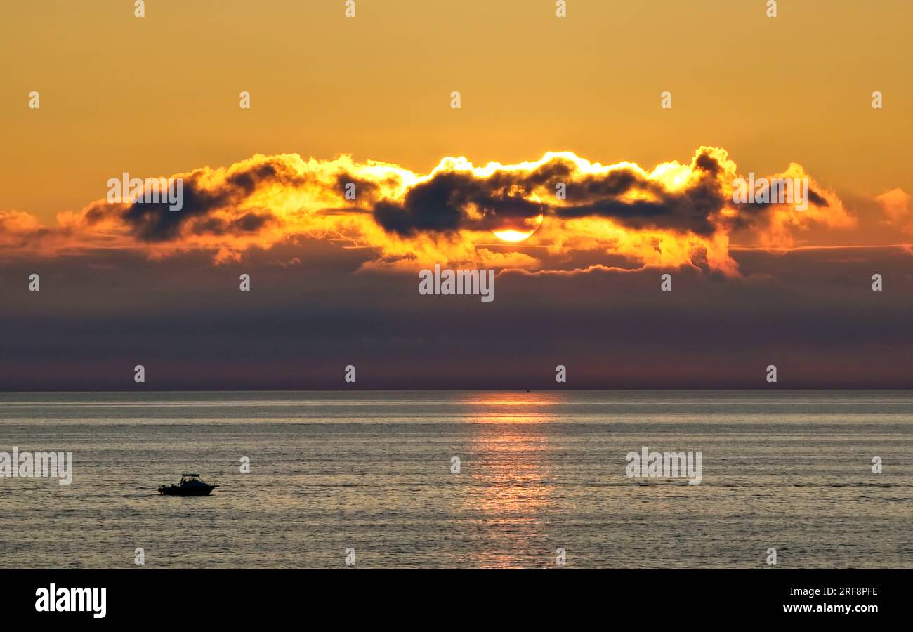 Buffalo in lakeshore summer hi-res stock photography and images - Alamy
