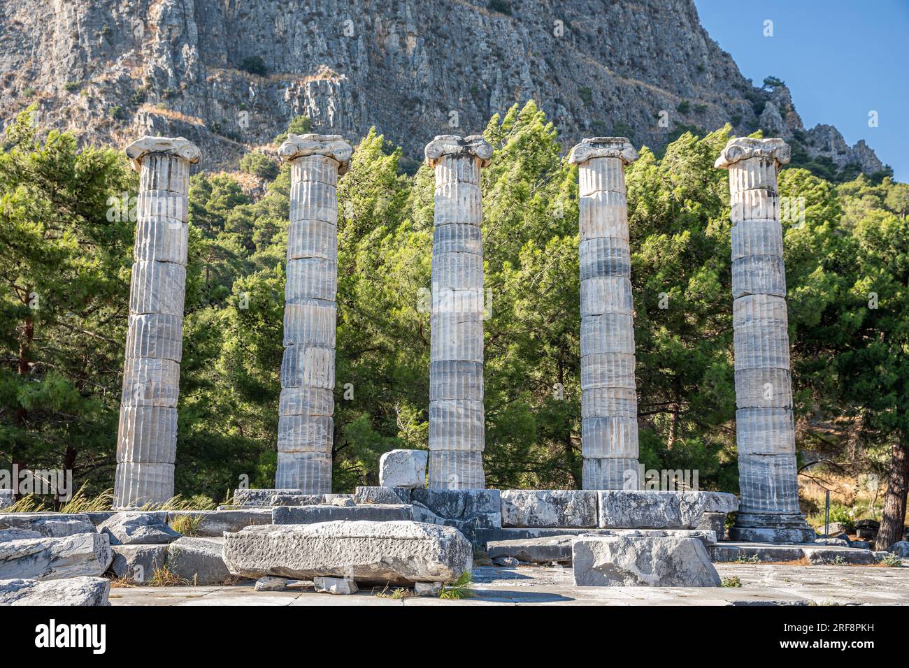 Ruins of the ancient city of Priene, Ionic columns of the Temple of Athena Polias, Söke, Aydın ...