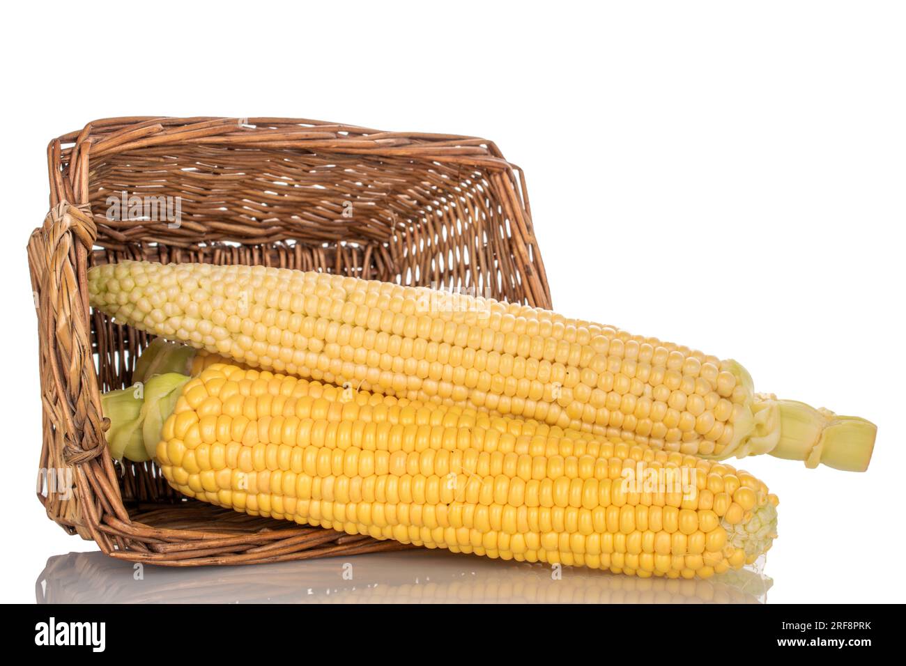 Three ears of sweet corn in a wicker basket, close-up, on a white ...