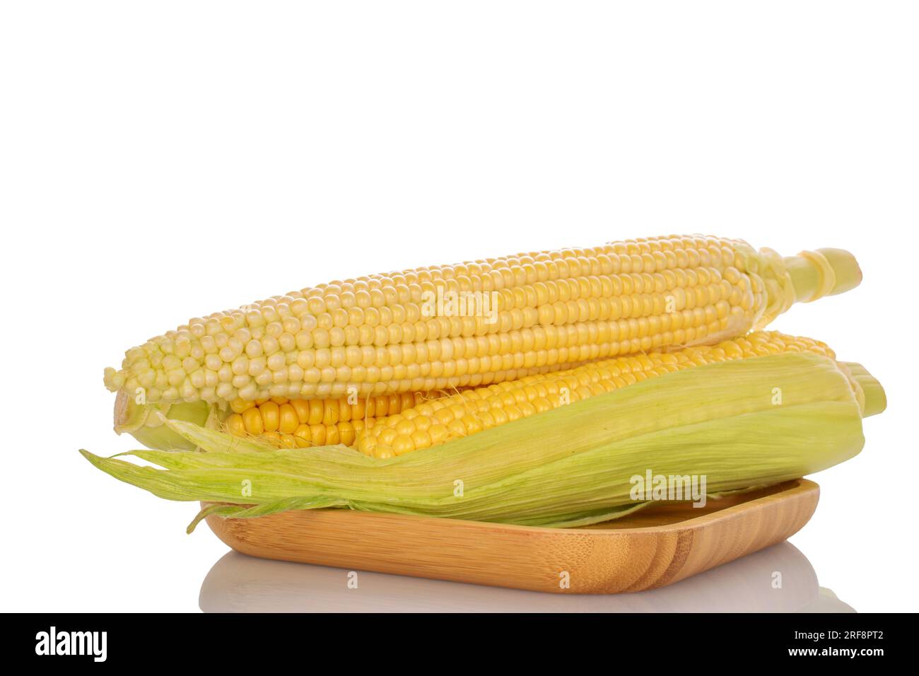 Several fresh corn cobs on a bamboo tray, macro, isolated on white ...