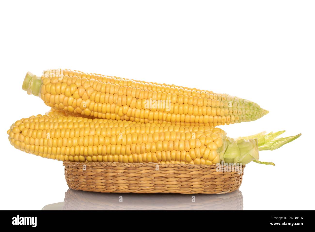 Three ears of corn hi-res stock photography and images - Alamy