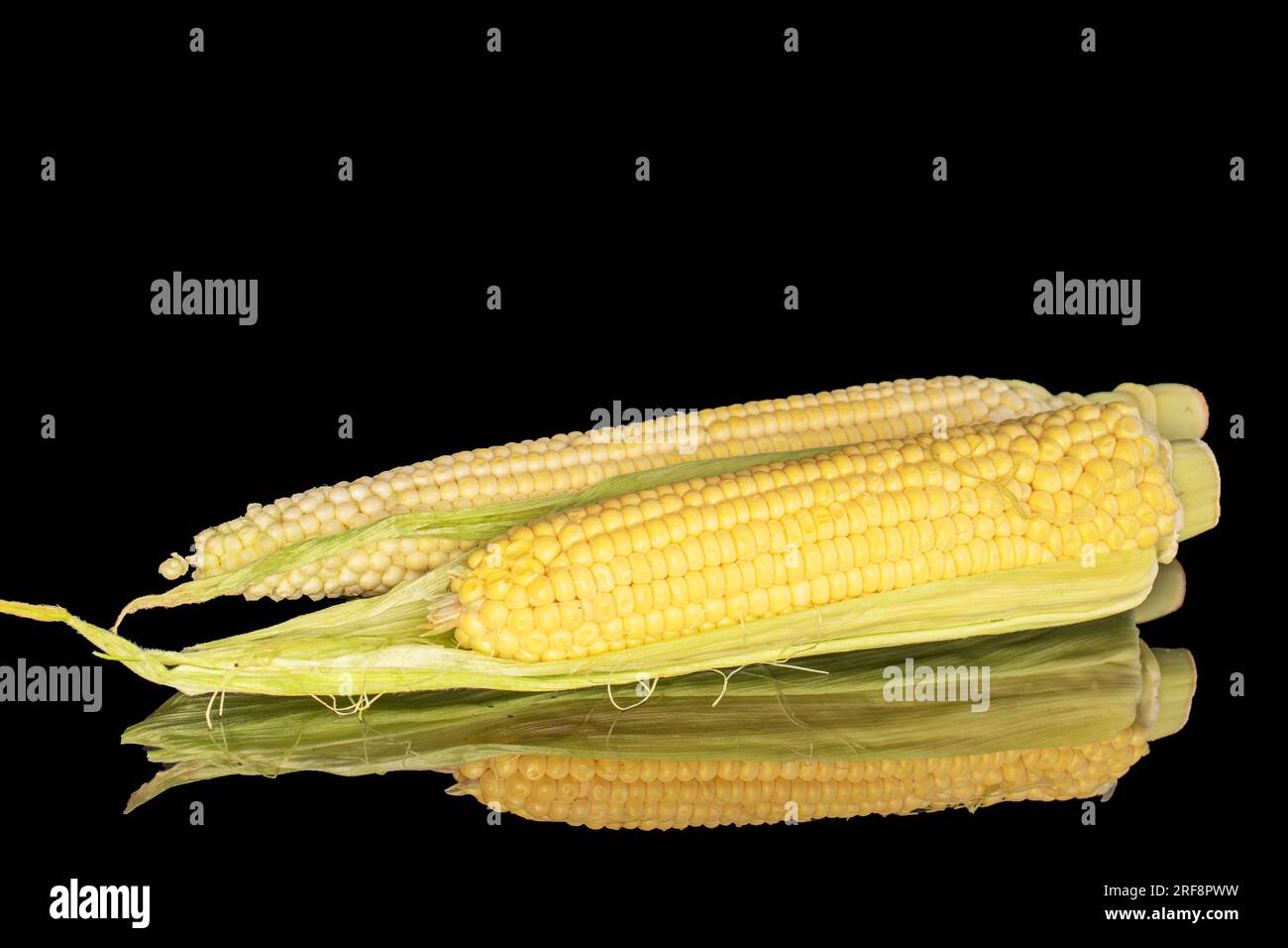 Isolated corn two ears hi-res stock photography and images - Alamy