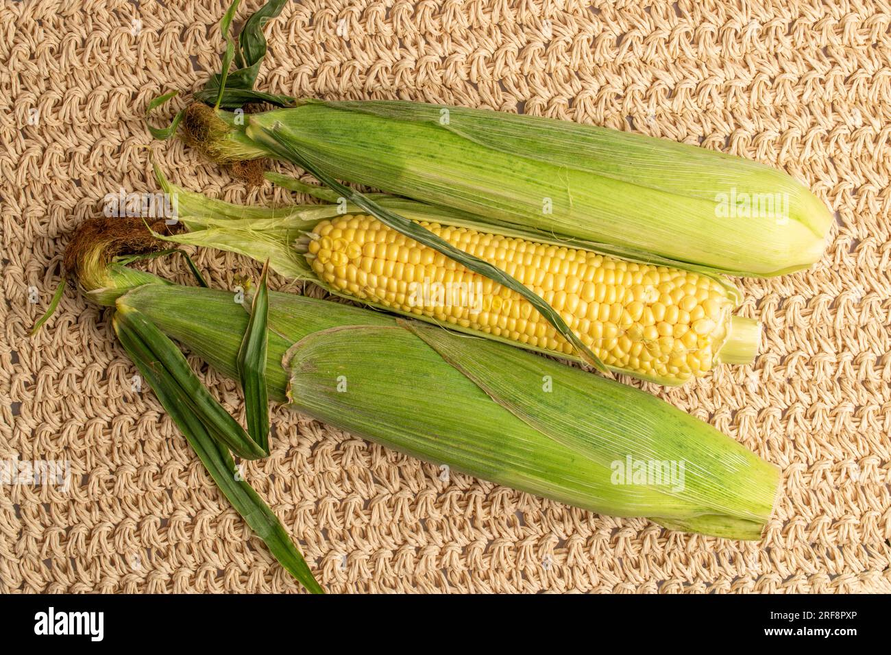 Three cobs of organic sweet corn on a straw mat, close-up, top view ...