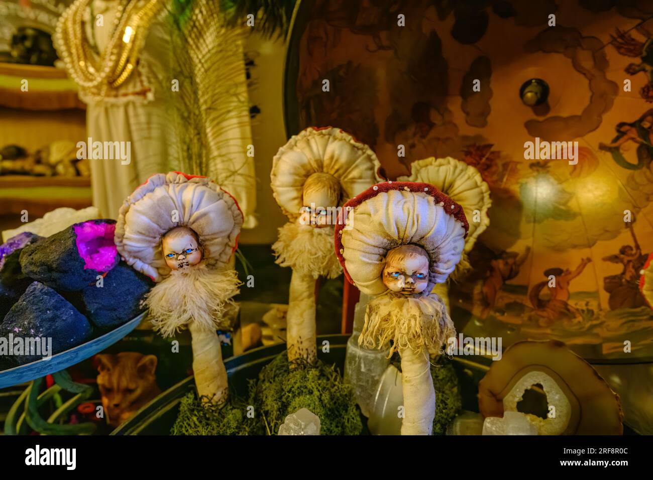 Pakruojis, Lithuania. July 7 , 2023: Close-up view of gloomy, fearful ...