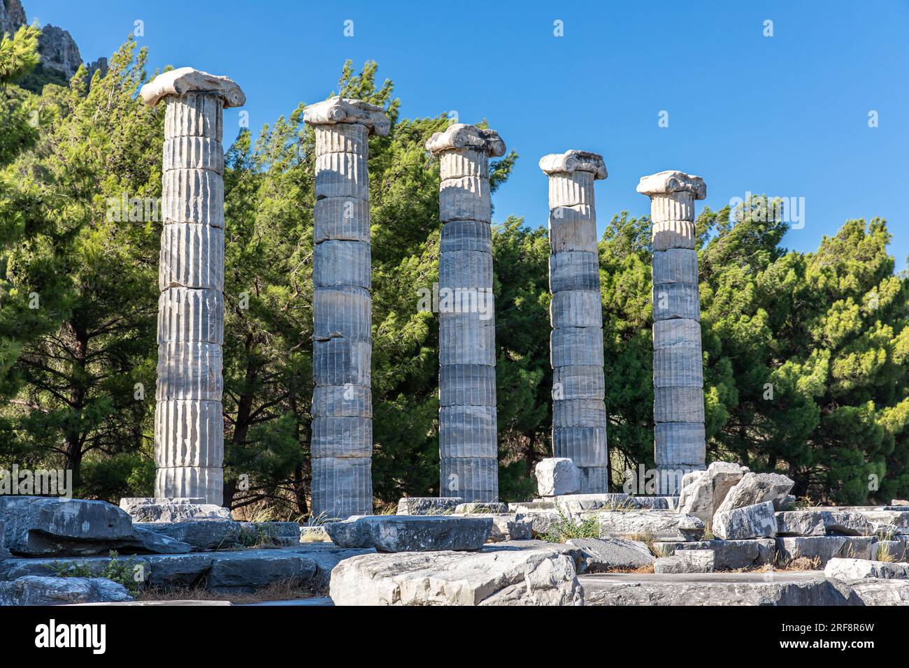 Ruins of the ancient city of Priene, Ionic columns of the Temple of Athena Polias, Söke, Aydın ...