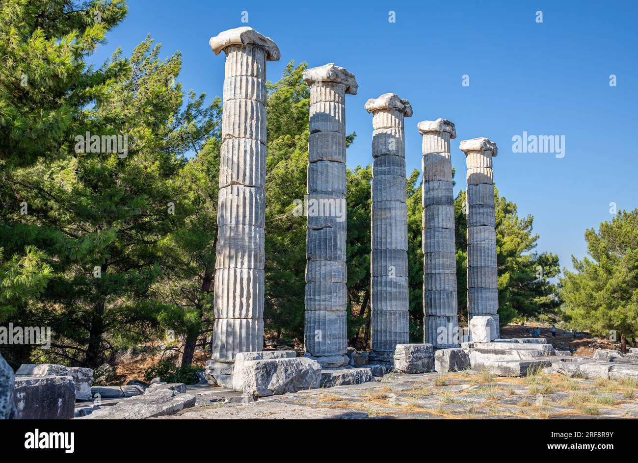 Ruins of the ancient city of Priene, Ionic columns of the Temple of Athena Polias, Söke, Aydın ...