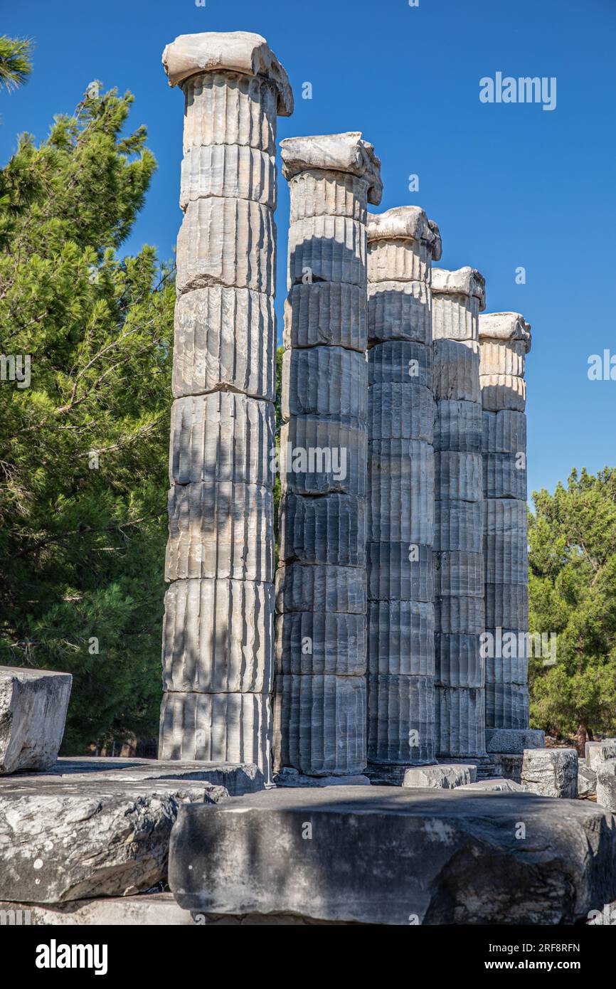 Ruins of the ancient city of Priene, Ionic columns of the Temple of Athena Polias, Söke, Aydın ...