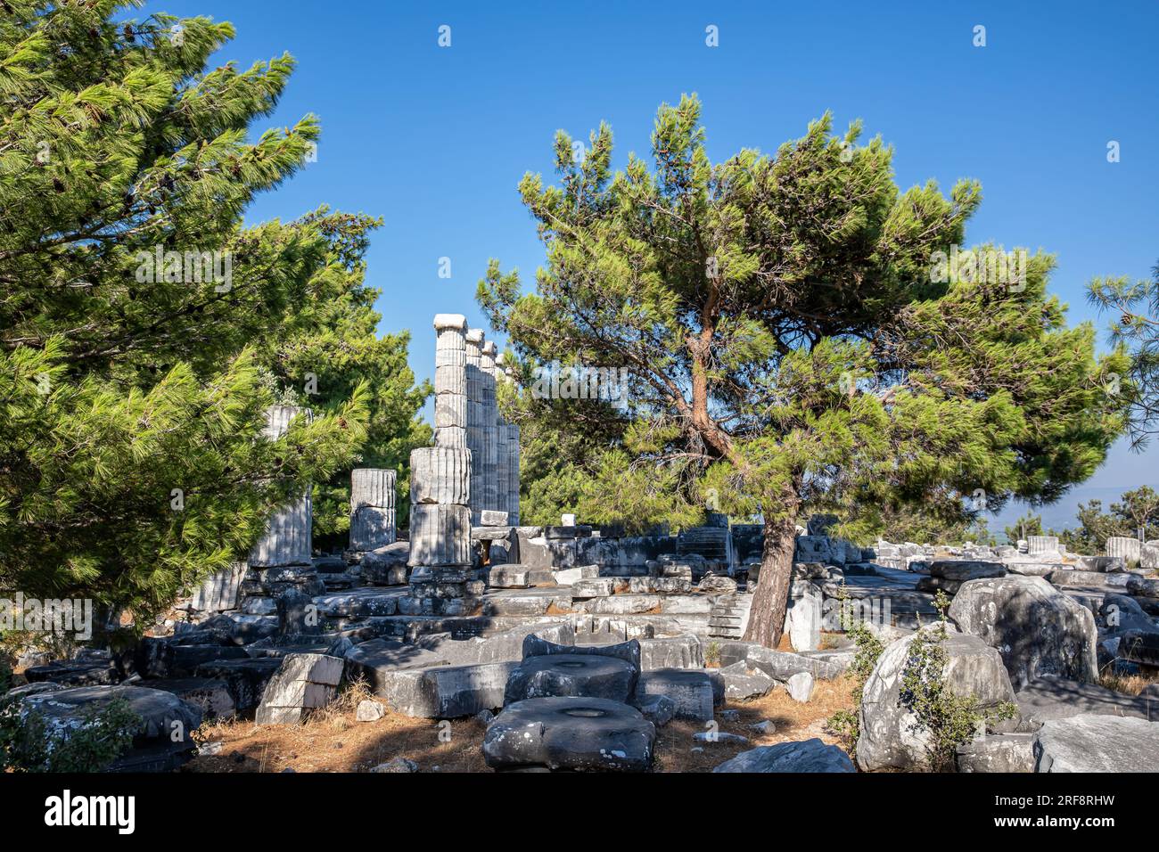 Ruins of the ancient city of Priene, Ionic columns of the Temple of ...