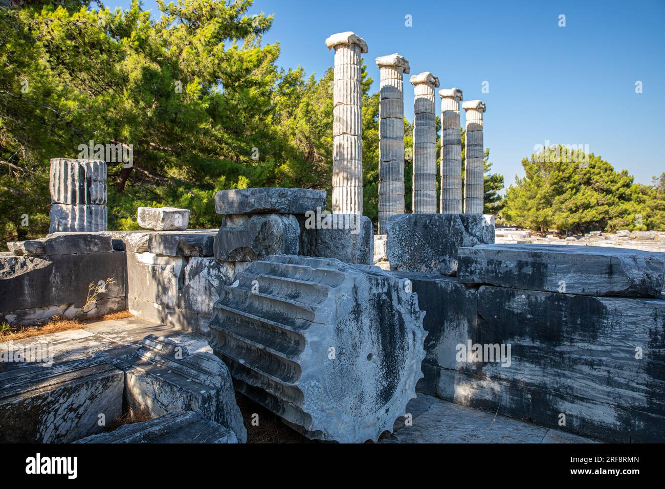 Ruins of the ancient city of Priene, Ionic columns of the Temple of Athena Polias, Söke, Aydın ...