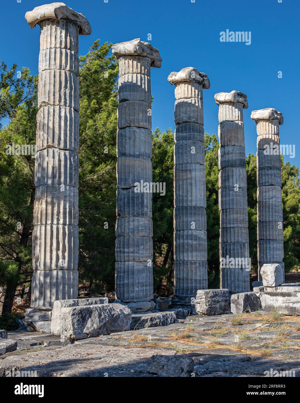 Ruins of the ancient city of Priene, Ionic columns of the Temple of ...