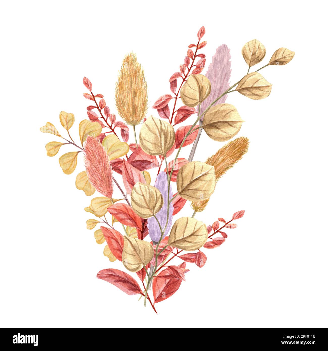 Bouquet of dried plants. Fluffy colorful lagurus, autumn herbs. Bunny ...