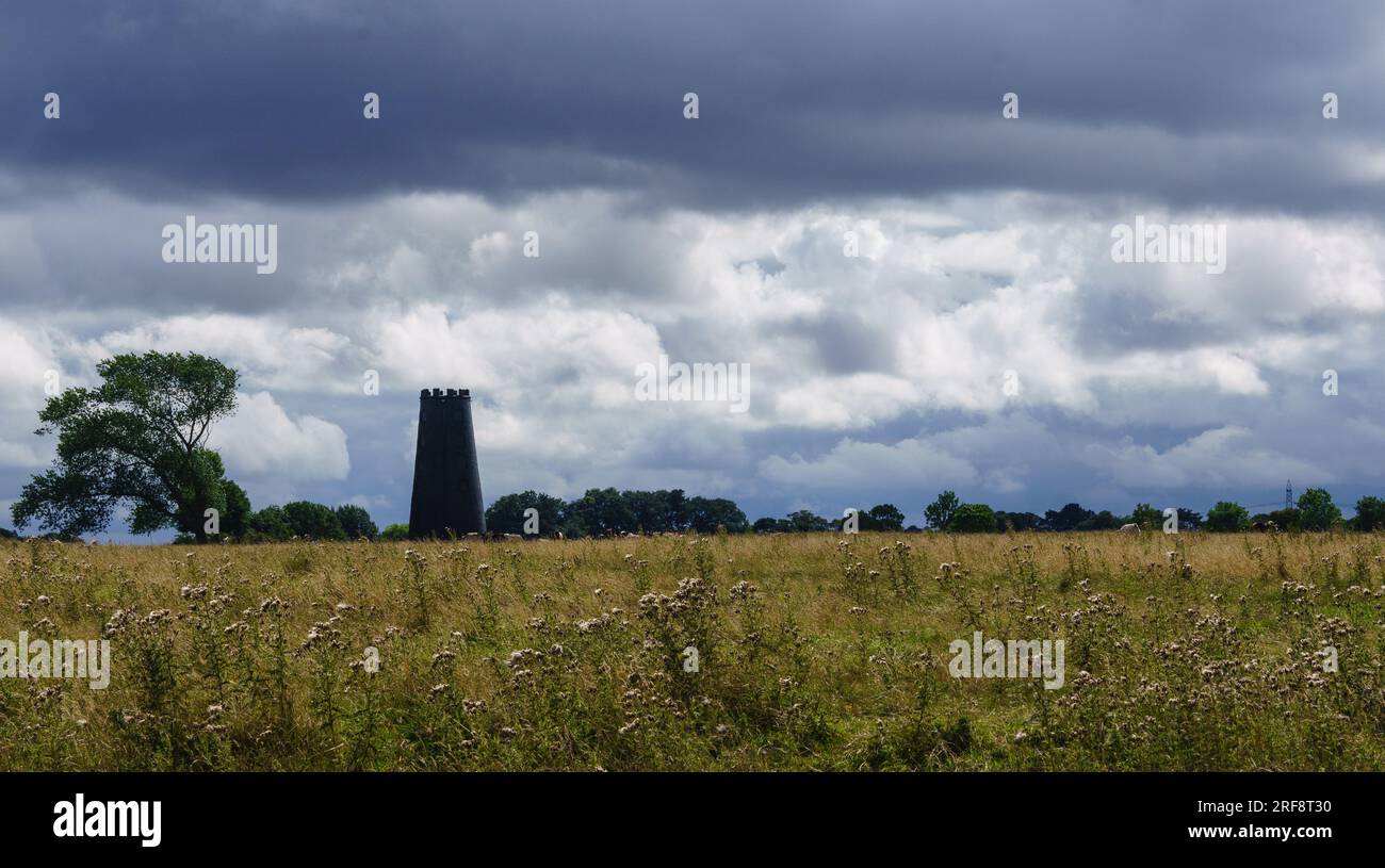 Cows grazing alongside the Black Mill on the Beverley Westwood ...