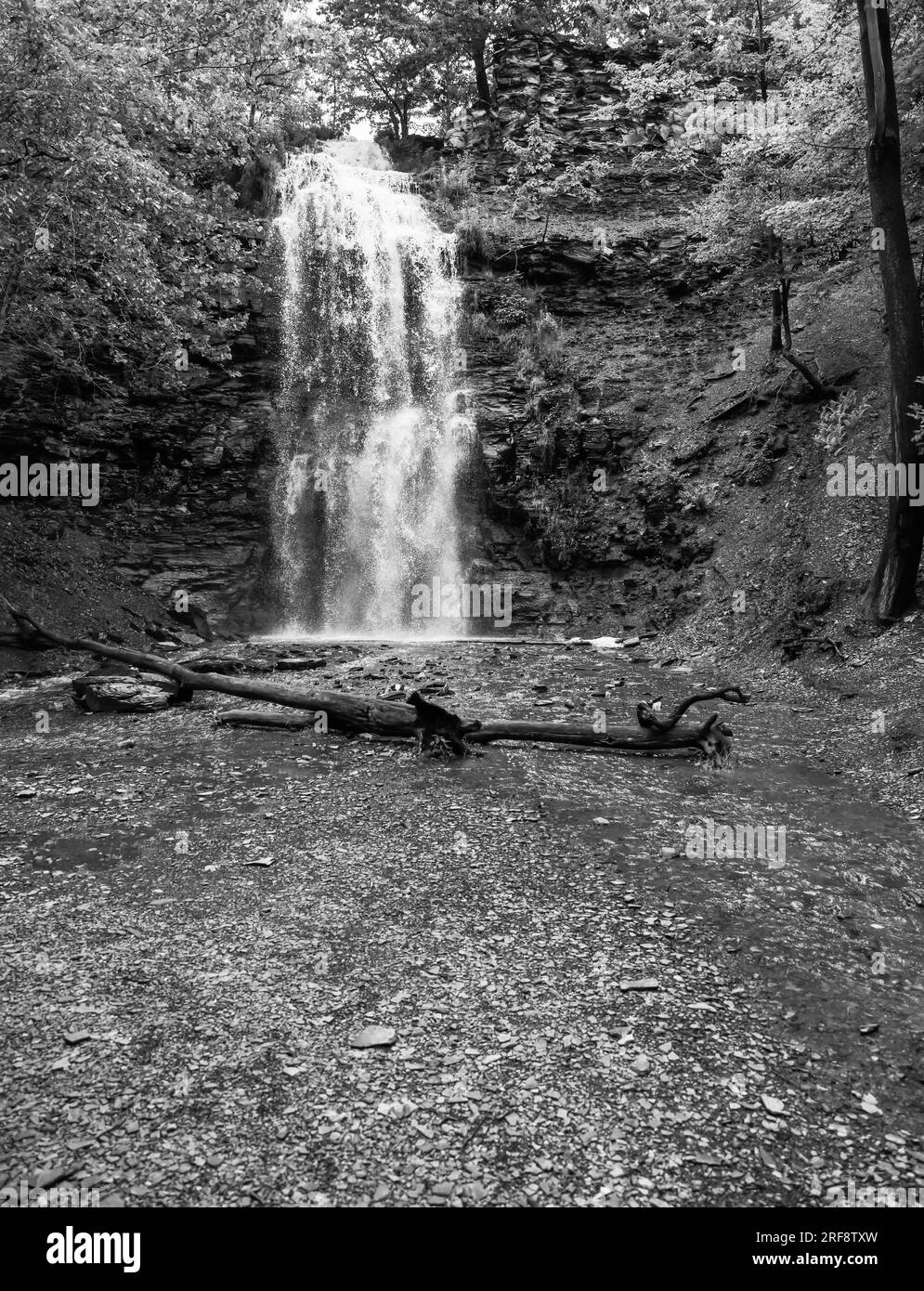 Tall waterfall flowing and cascading over the rocks in the forest park ...