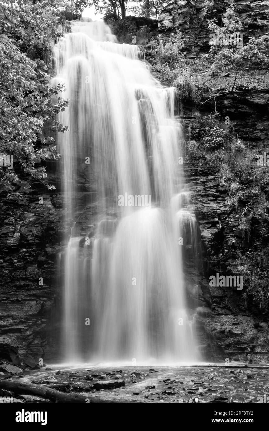 Tall waterfall flowing and cascading over the rocks in the forest park ...