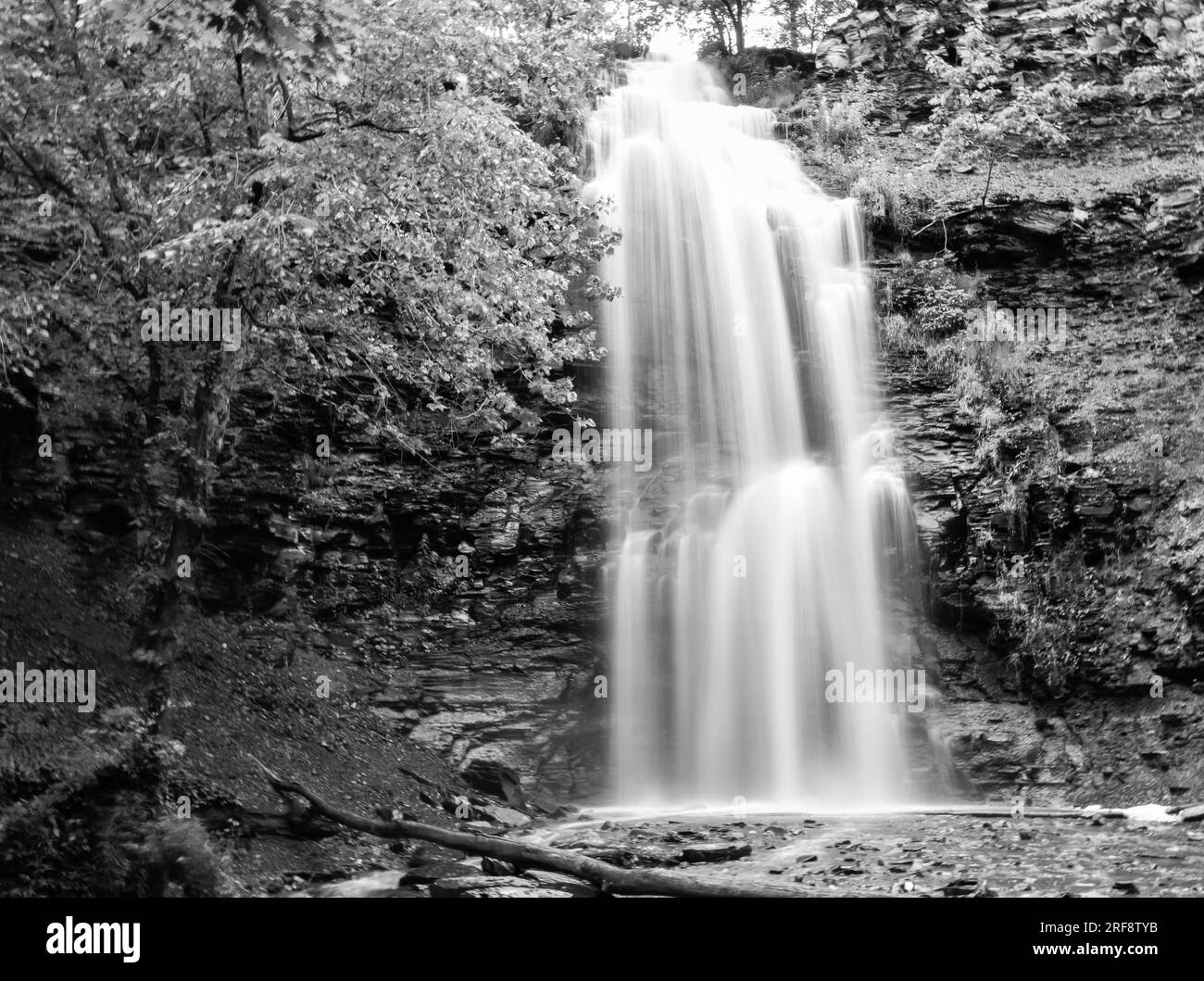 Tall waterfall flowing and cascading over the rocks in the forest park ...