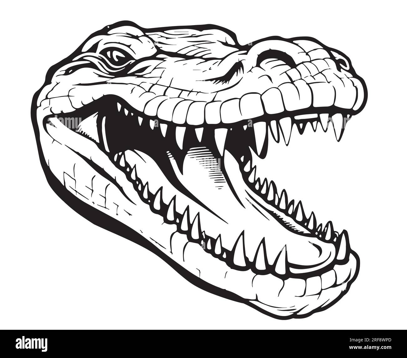 Crocodile head sketch hand drawn reptile Vector Stock Vector Image ...