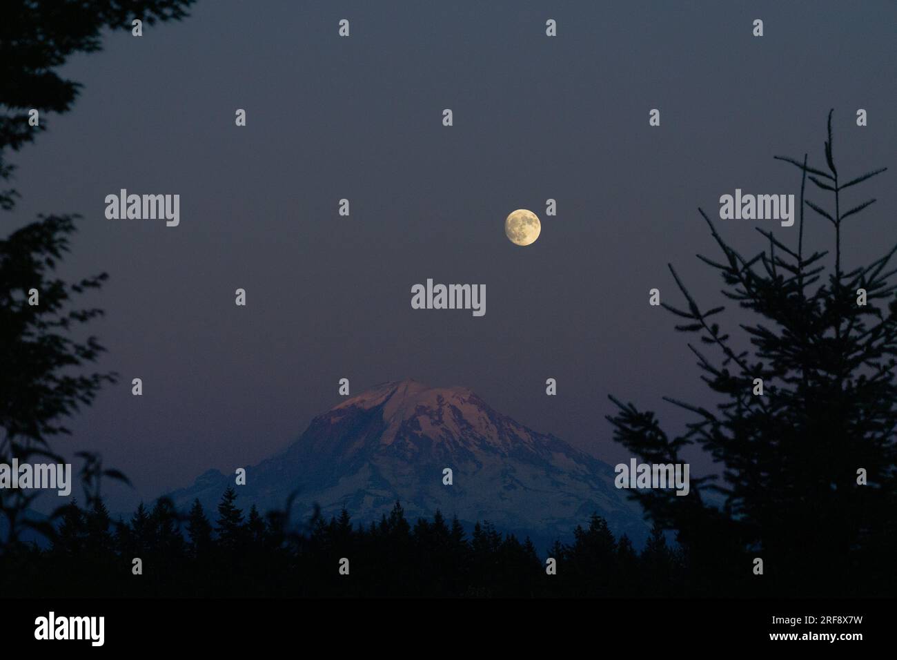 Blue Moon Rising over Mt. Rainier Stock Photo - Alamy