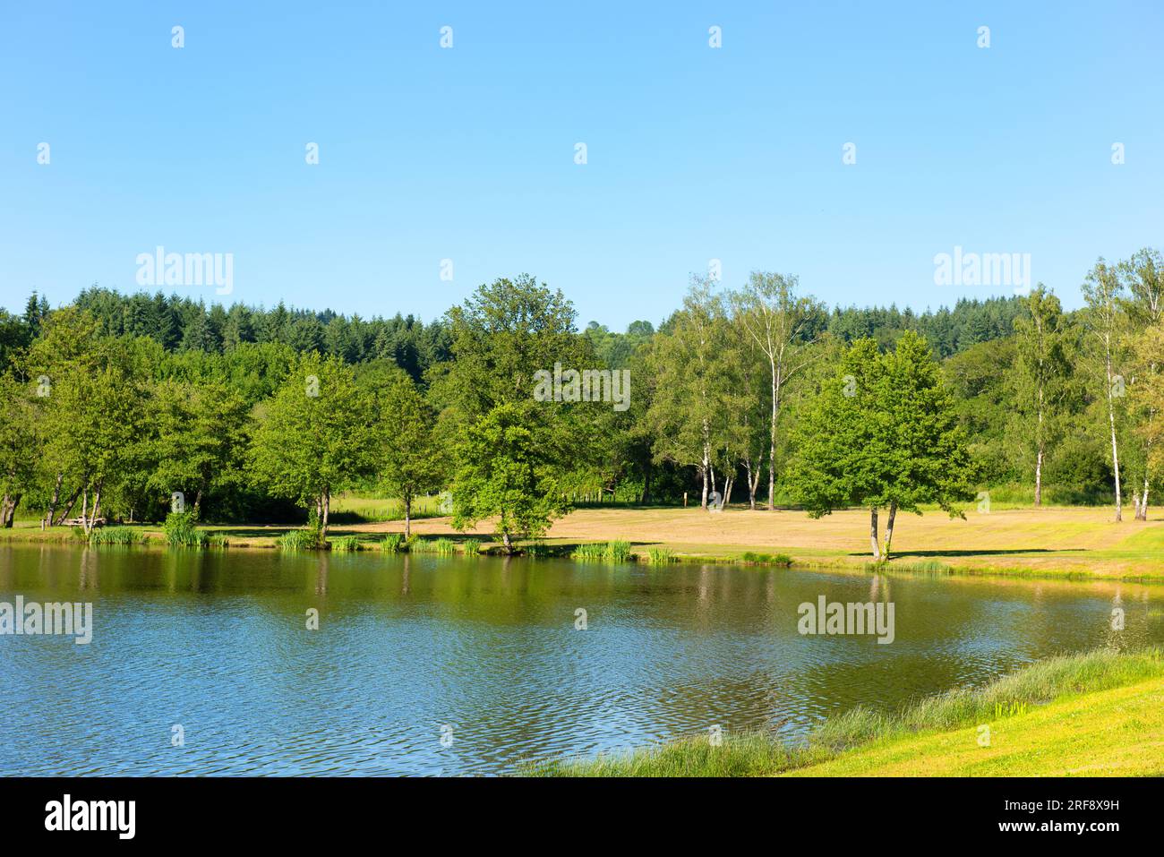 Nature lake in French landscape Stock Photo - Alamy
