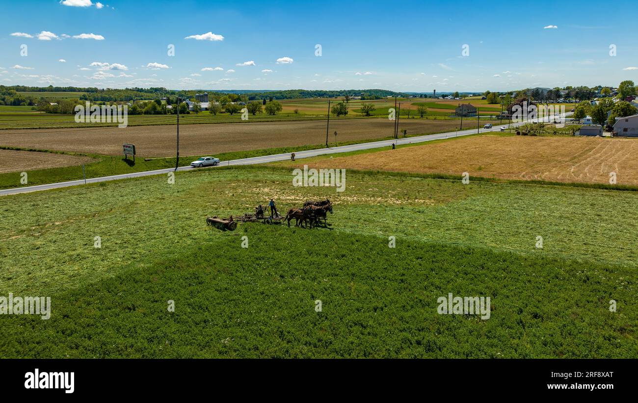 An Aerial View of an Amish Farmer Cutting Mowing Crops Using Four ...