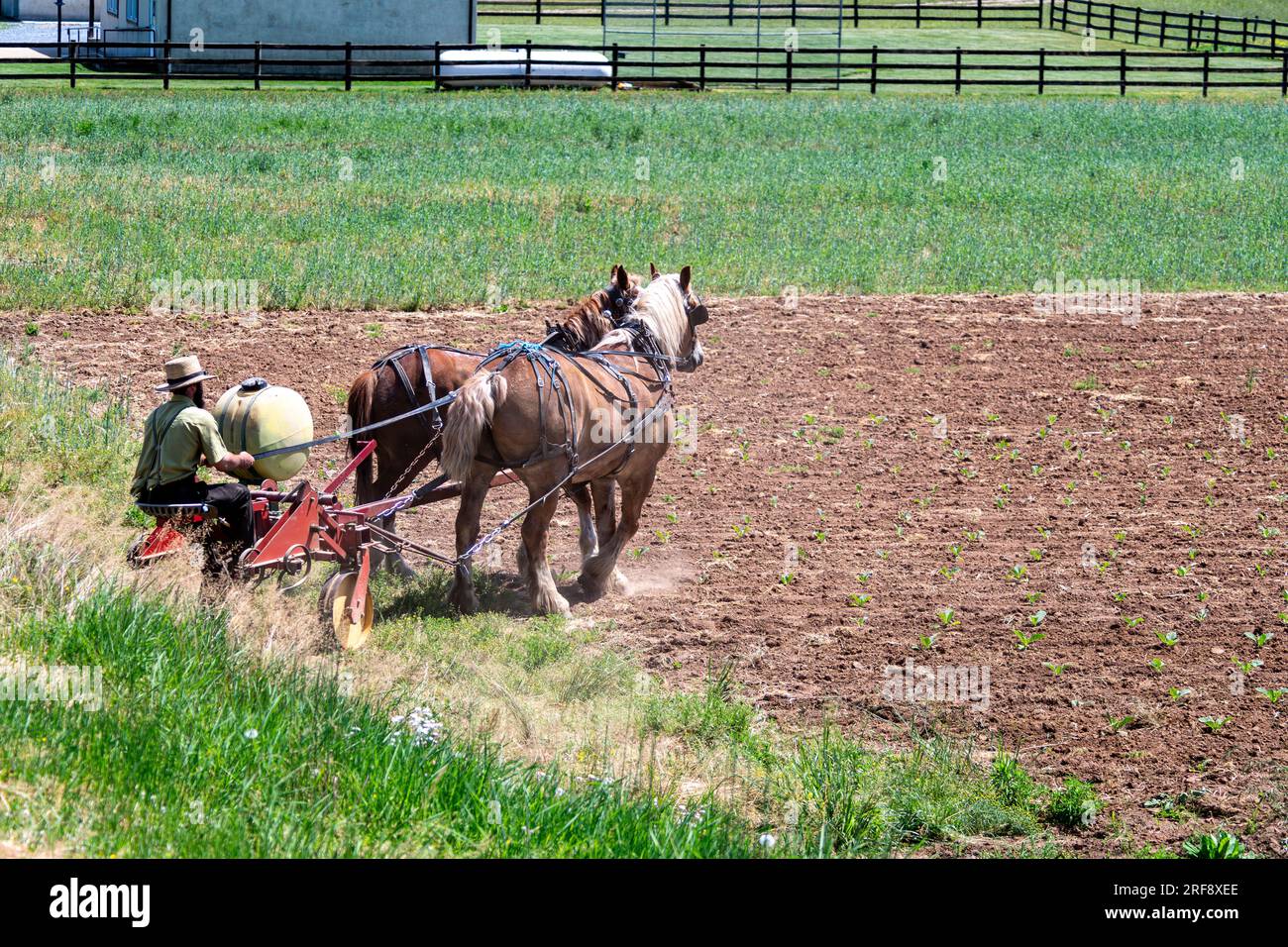 Farmer with horse and produce hi-res stock photography and images - Alamy