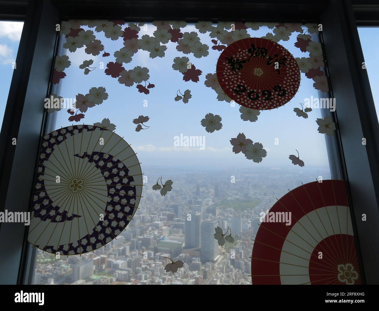 Iconic images of Japan: swirling parasols & cherry blossom decorate the ...