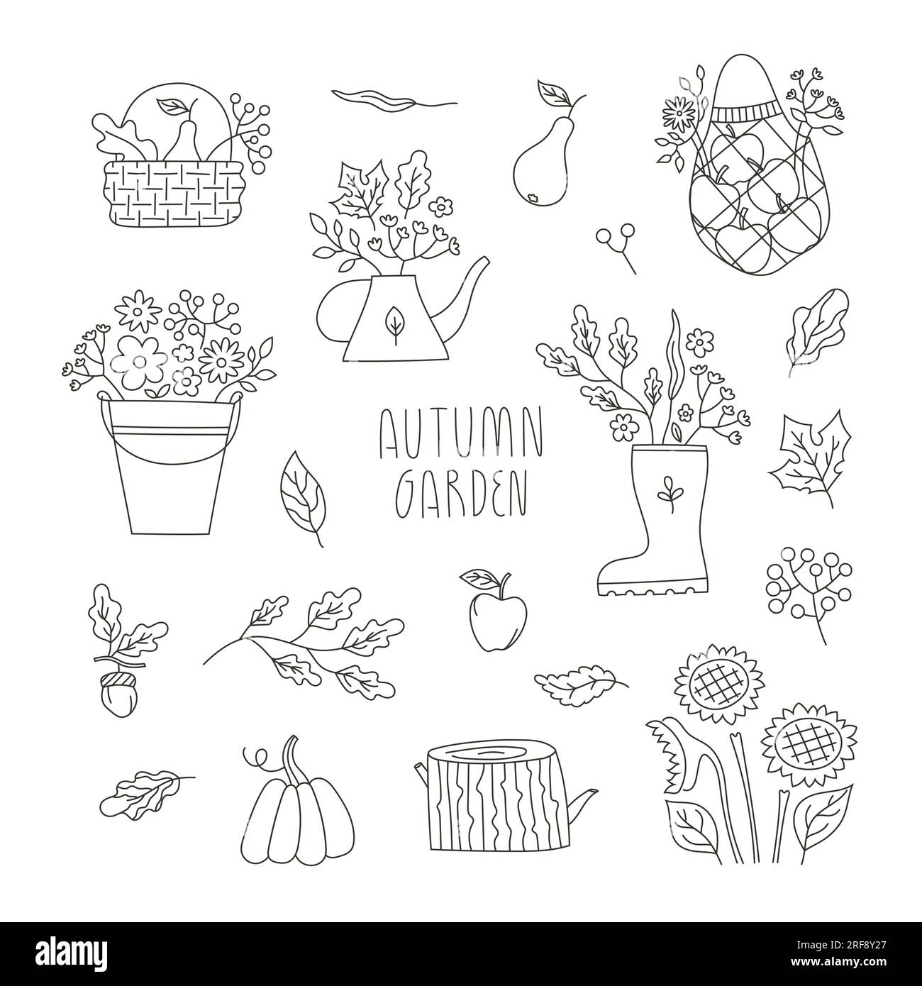 Vector Line set with autumn garden bouquet compositions for card ...