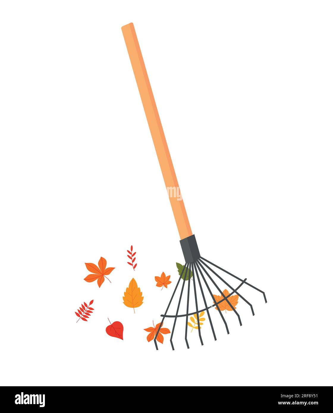 Rake and autumn leaves on a white background, used for design, vector ...
