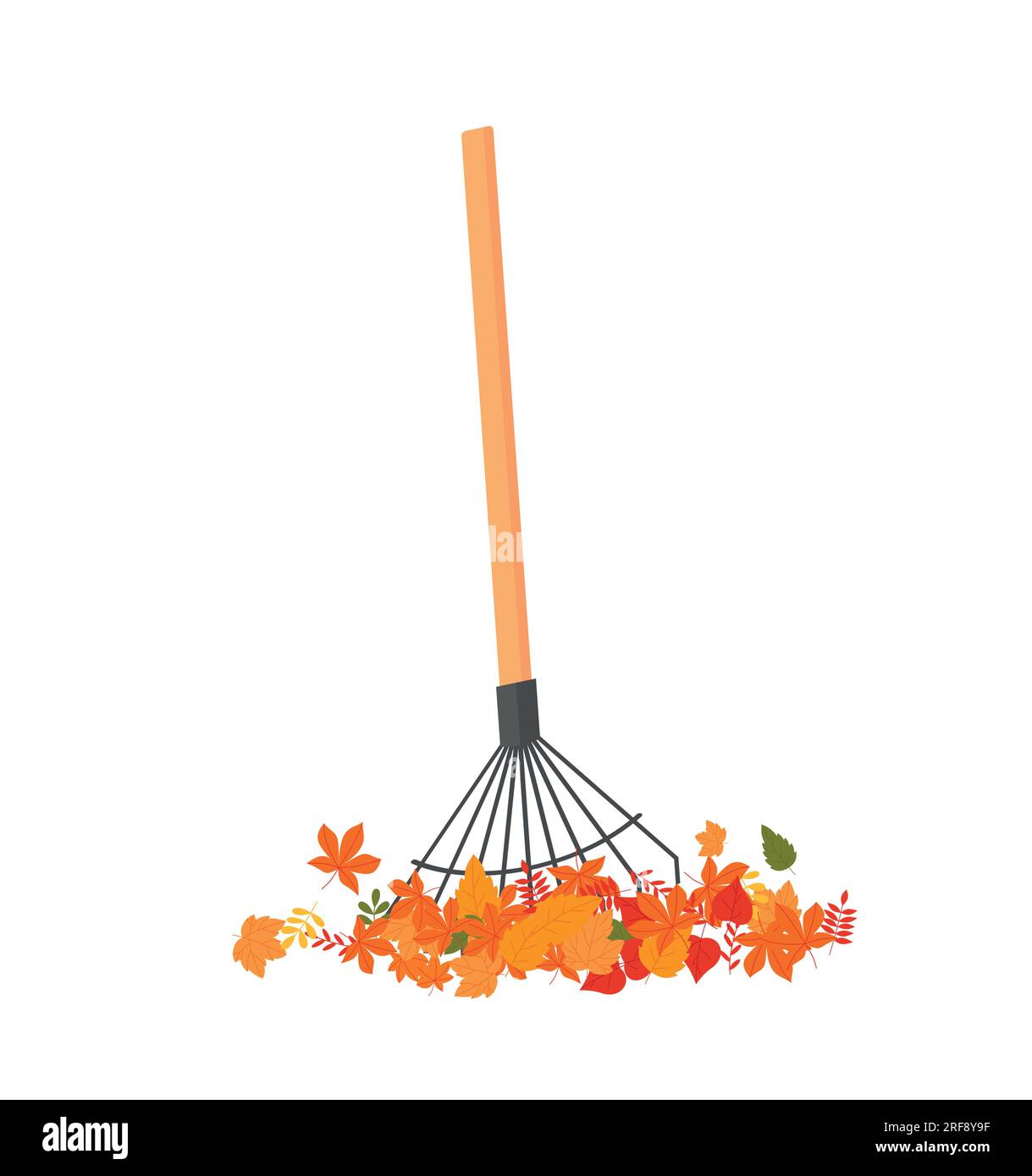 Rake and autumn leaves on a white background, used for design, vector ...