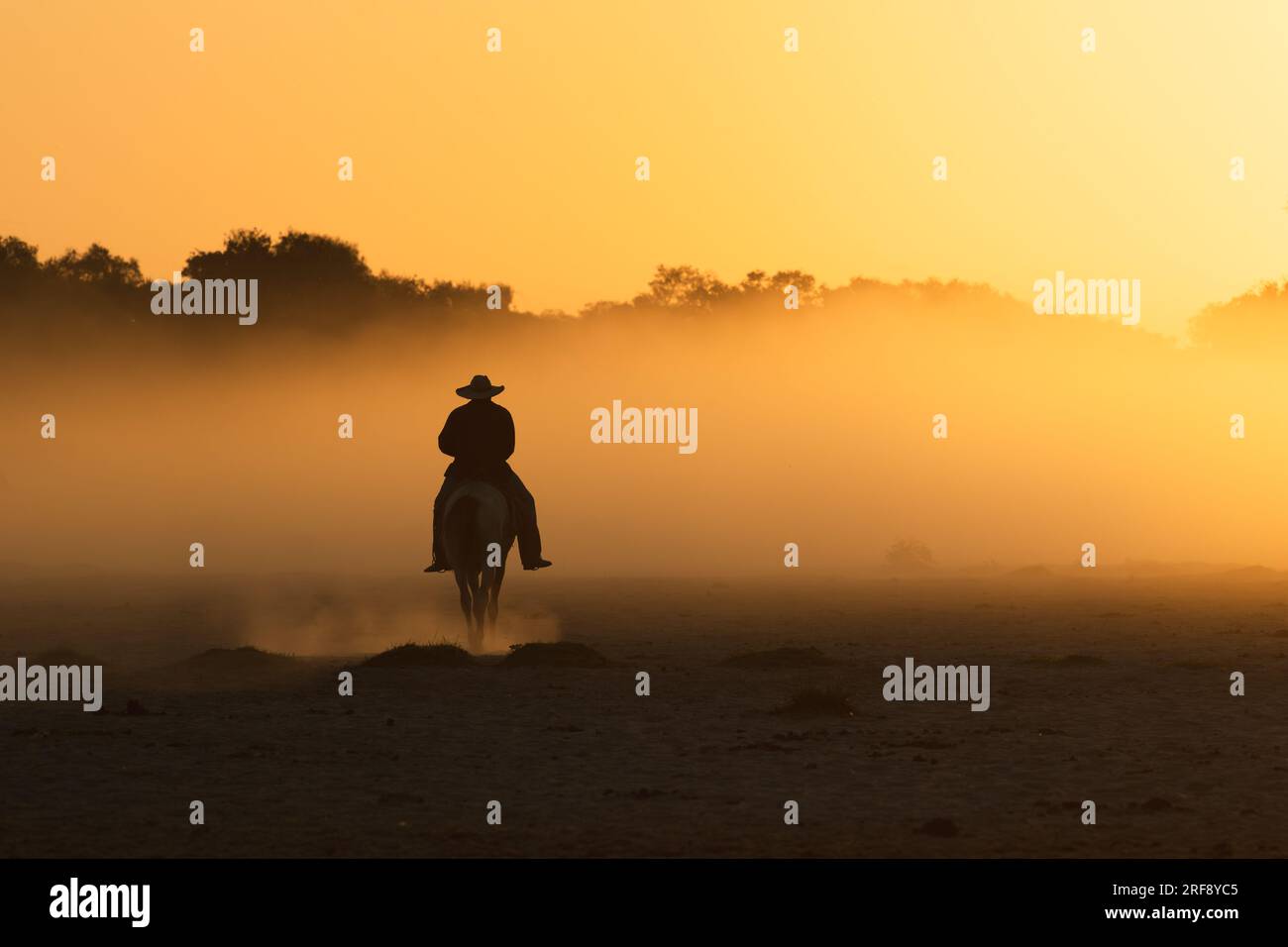 Cowboy On Horse Sunset 3,800+ Cowboy Riding Into Sunset Stock Photos,