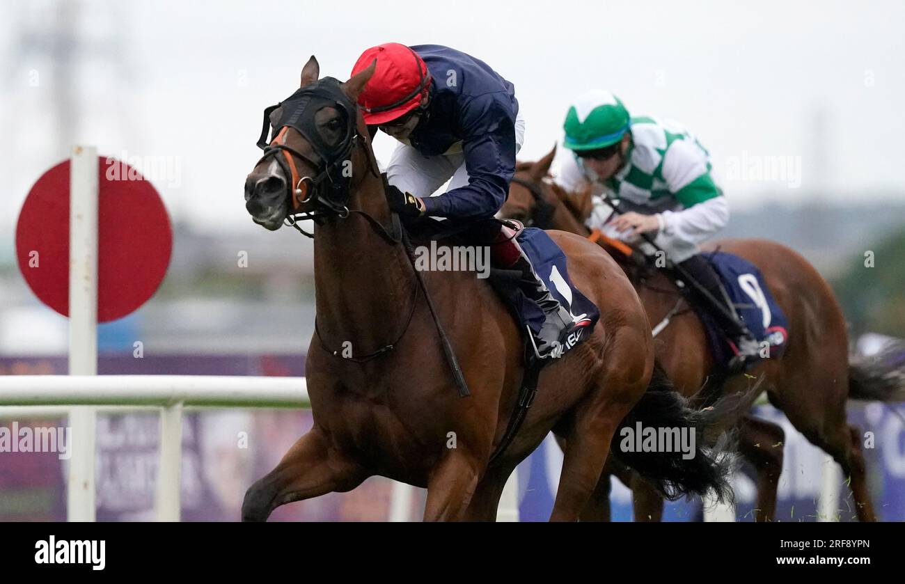 Bells on her toes horse hi-res stock photography and images - Alamy