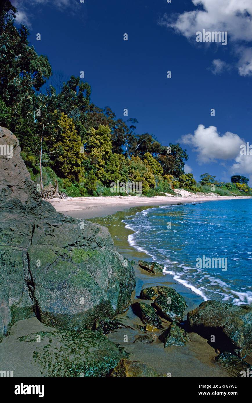 Quarry Beach, Angel Island, San Francisco Bay, California, USA (looking ...