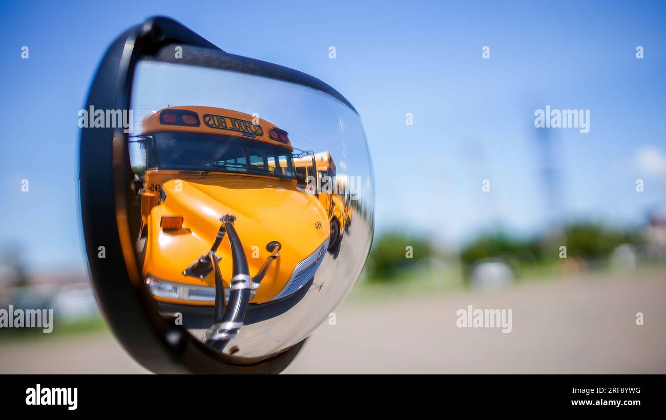 International Bus Mirror