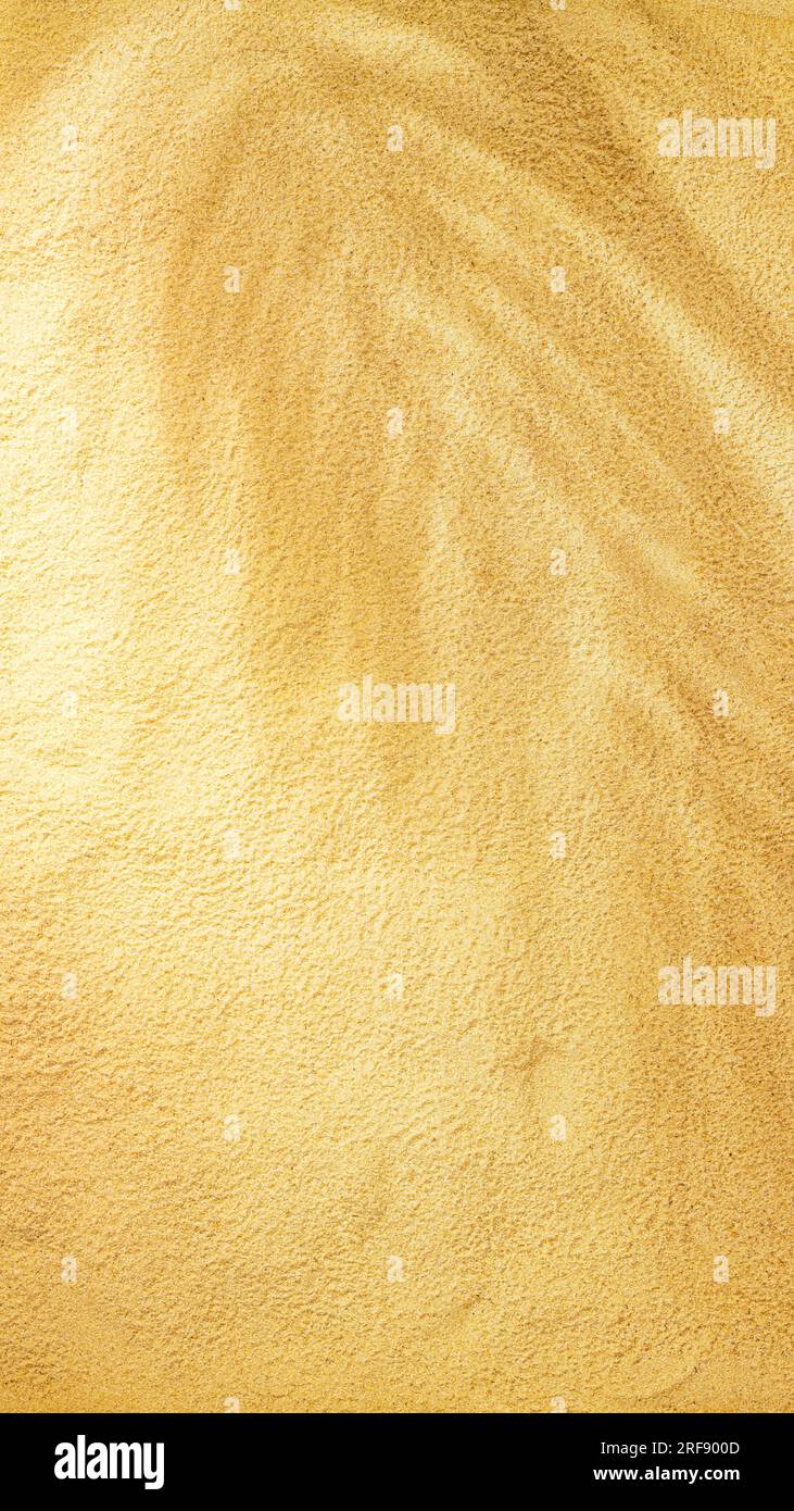Sand Background With Copy Space For Text Sand Texture Closeup With Palm Leaf Shadow Horizontal