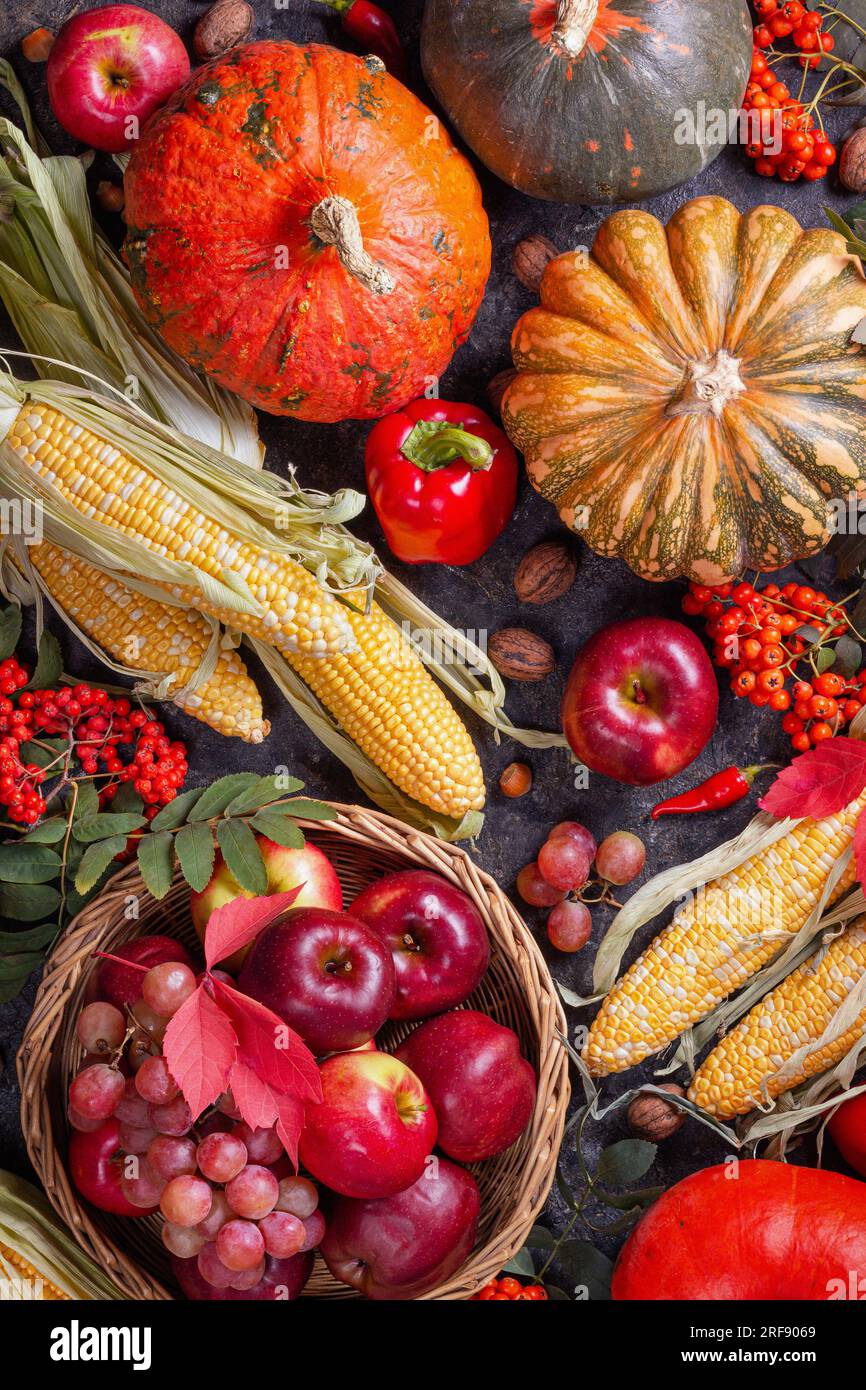 Autumn agricultural still life with fruits and vegetables. Harvest ...