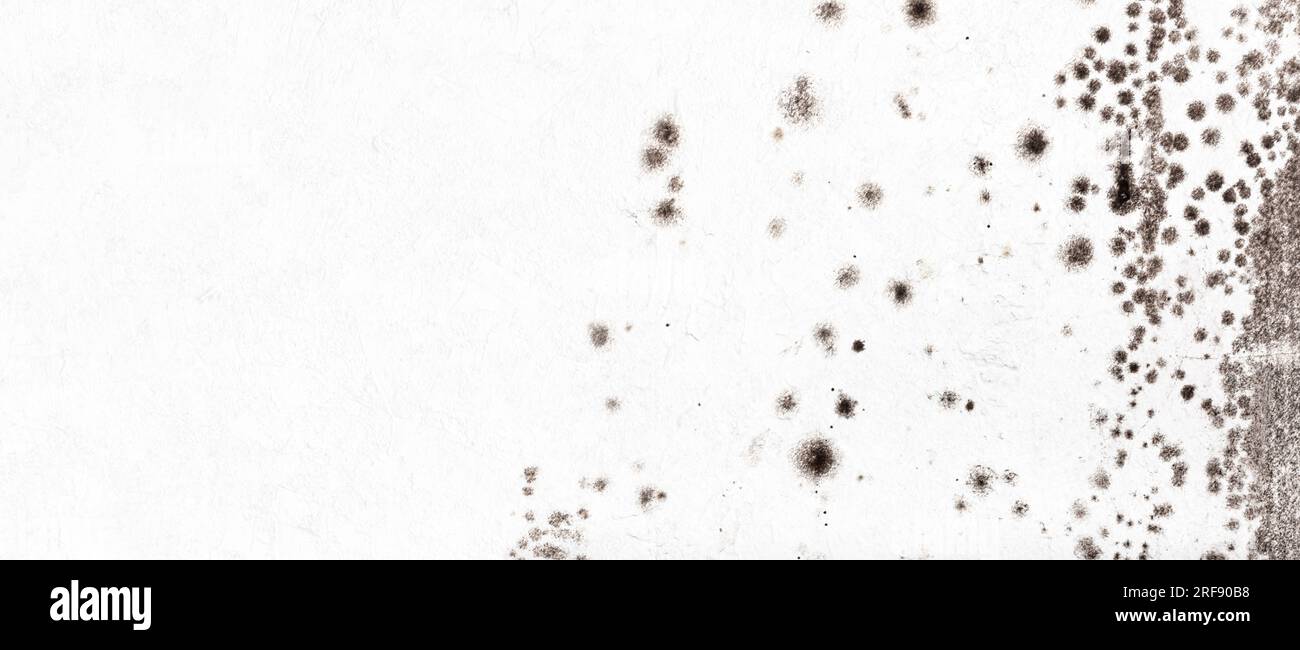 Mold infested wall, banner, background. Concept of the problem of mold ...