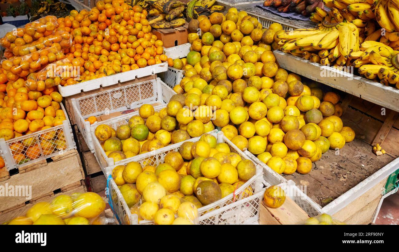 Oranges, nectarines and bananas in a local market, Ecuador Stock Photo ...