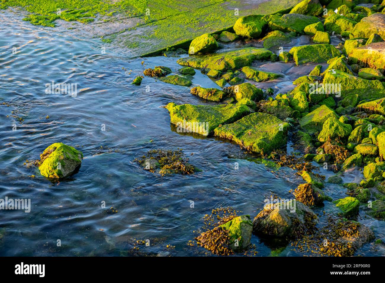 Grass covered stone jetty hi-res stock photography and images - Alamy