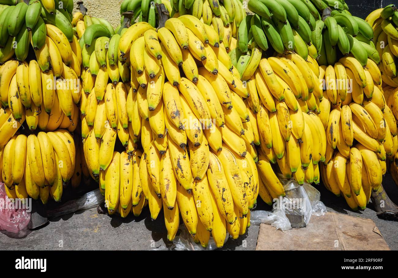 Bunches of ripe bananas at a local market, Ecuador Stock Photo - Alamy