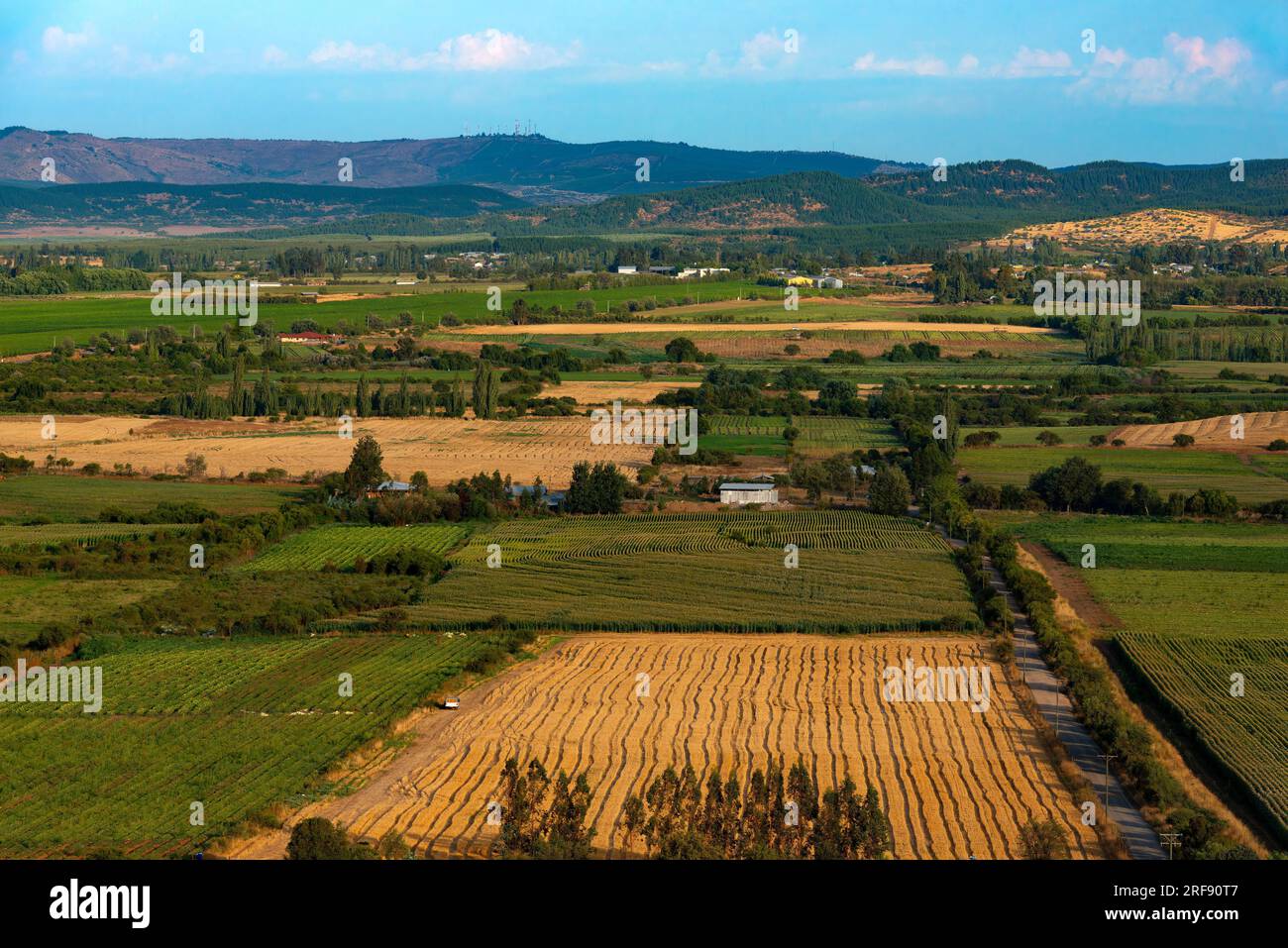 Crop fields and farms at Region del Maule in southern Chile Stock Photo ...