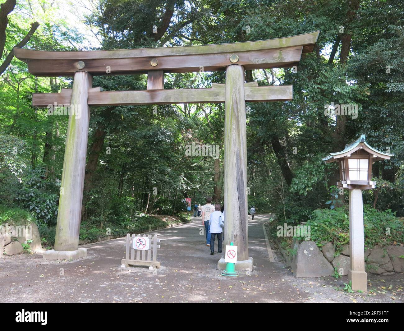 The grey Torii Gate and pathway through the forest at one of the ...
