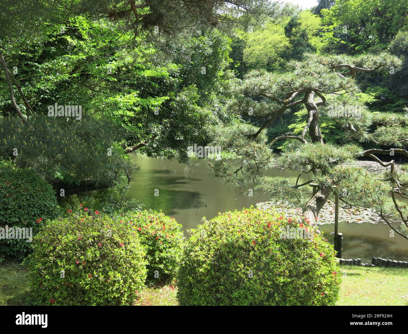 The South Pond (Nan-chi) is an ancient spring water pool with mature ...