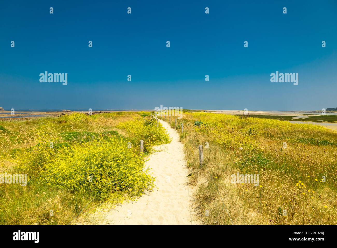 Small discovery tour to the peninsula Sillon de Talbert in beautiful ...